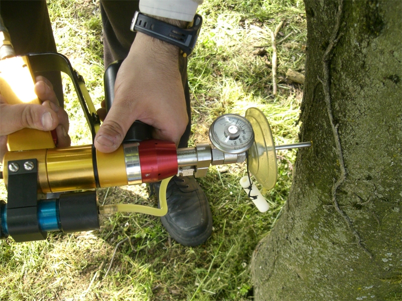 Arborjet Tree Trunk Injection Treatment- Legacy Pest Control